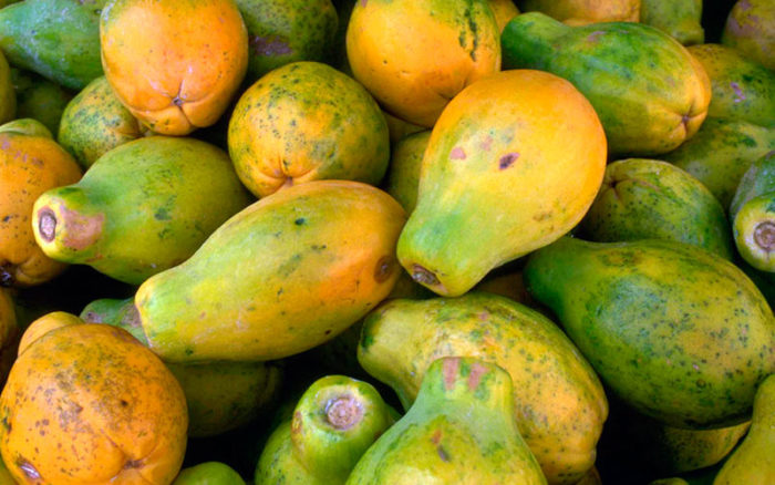 Papaya Commonly Known As Pawpaw Has 6 Medicinal Benefits You Probably ...