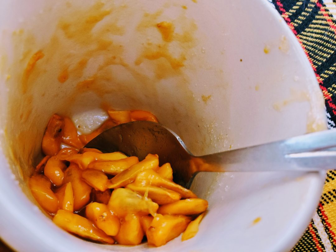 Monkey Apple – A Not So Popular But Interesting Fruit! - Things Guyana