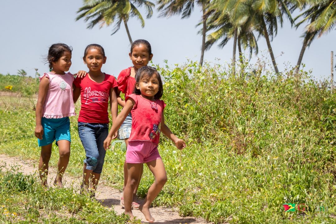 What Do You Know About Region One (1) Barima-Waini? - Things Guyana