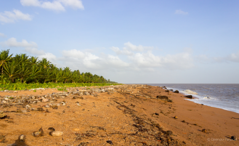 Shell Beach 2 – Things Guyana