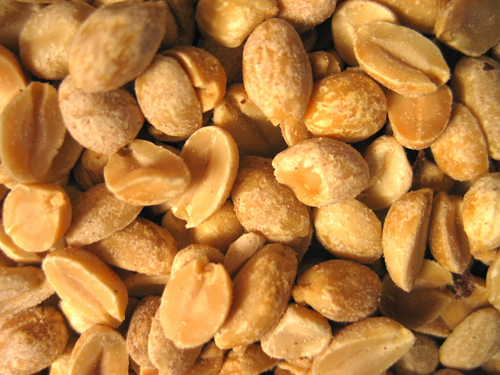 Peanuts – Are they Nuts or Legumes? – Things Guyana
