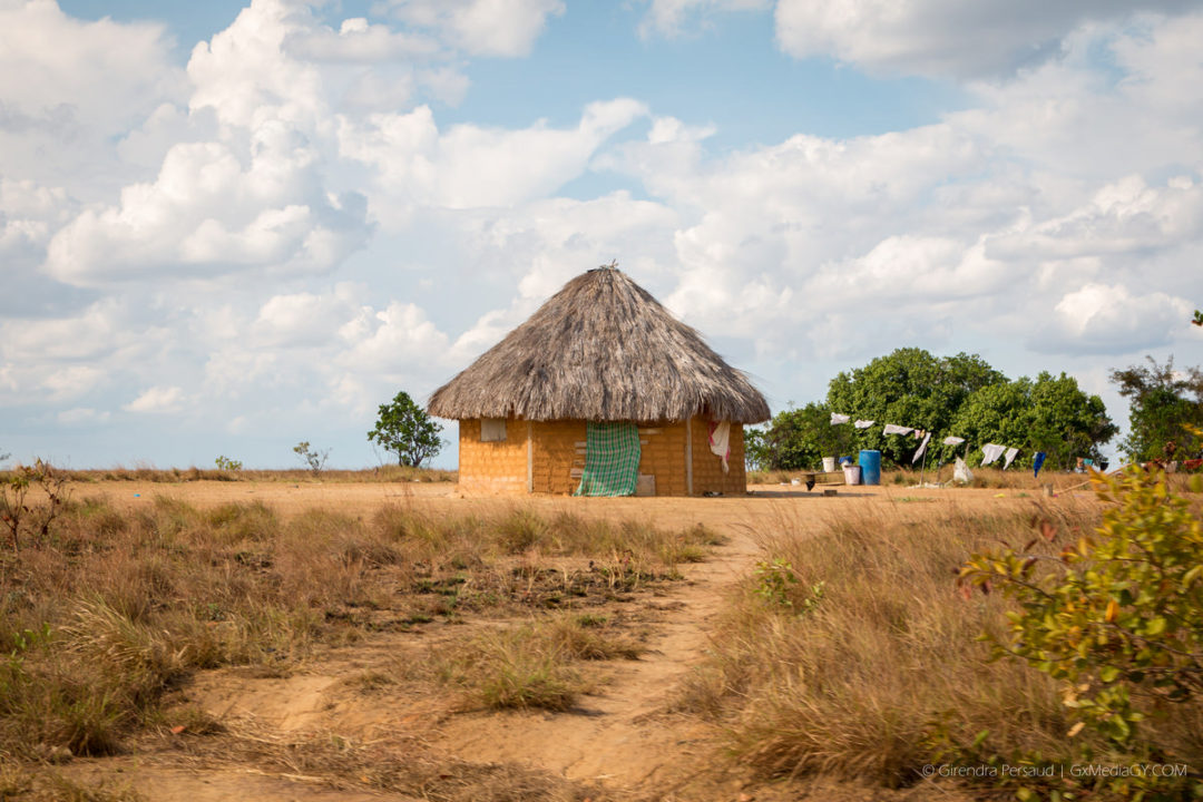 Guyana’s first horticulturists, The Arawaks, are as rich in their ...