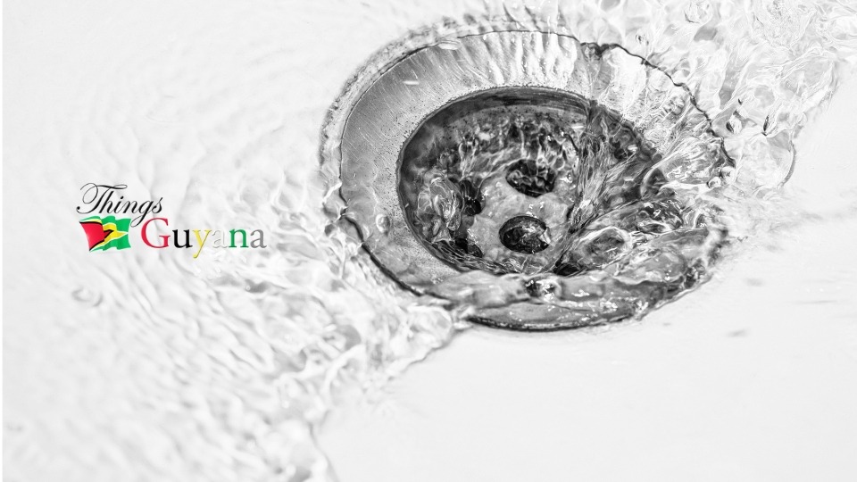 Damon’s Monument- Cherished Bravery - Things Guyana